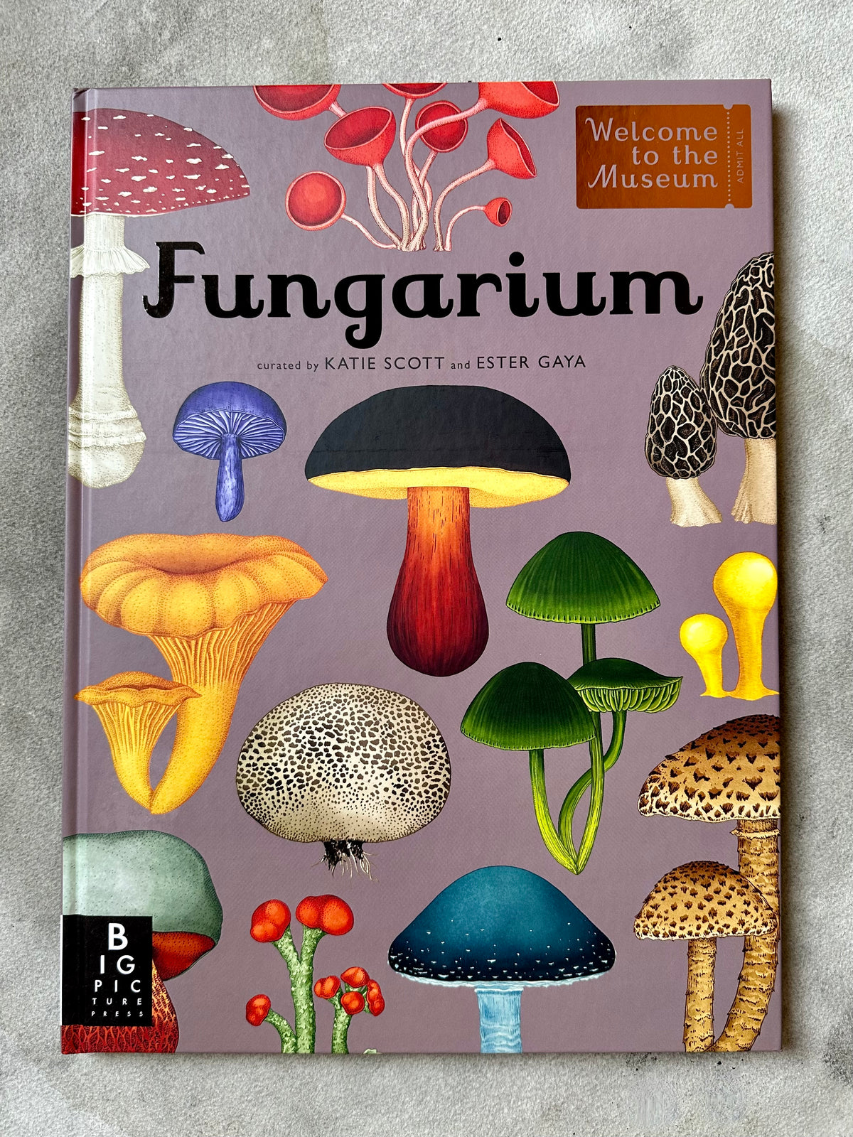 "Fungarium" by Katis Scott and Ester Gaya — Pittsburgh Mercantile